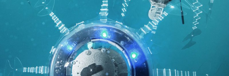 Bionics: nature as a model | Future Markets Magazine